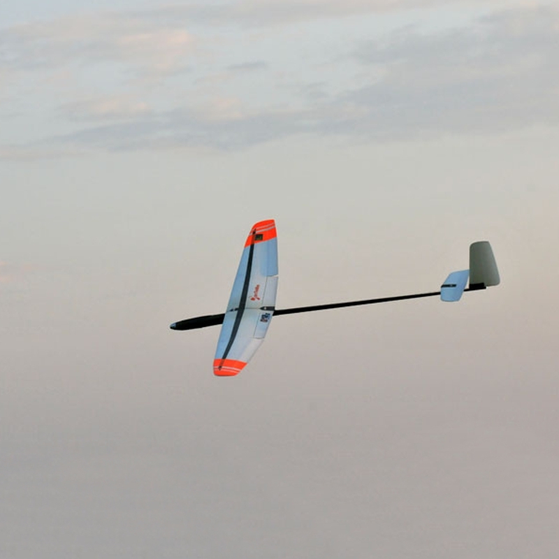 Motoplaneur électrique Q12 Horejsi Model - F5J - 2 mètres _ R-Models